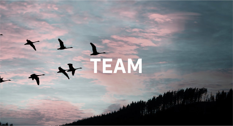 Home - Sherpa Asset Management AG